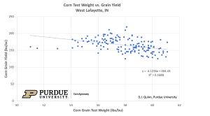 Making Sense of Grain Test Weight in Corn - The Kernel